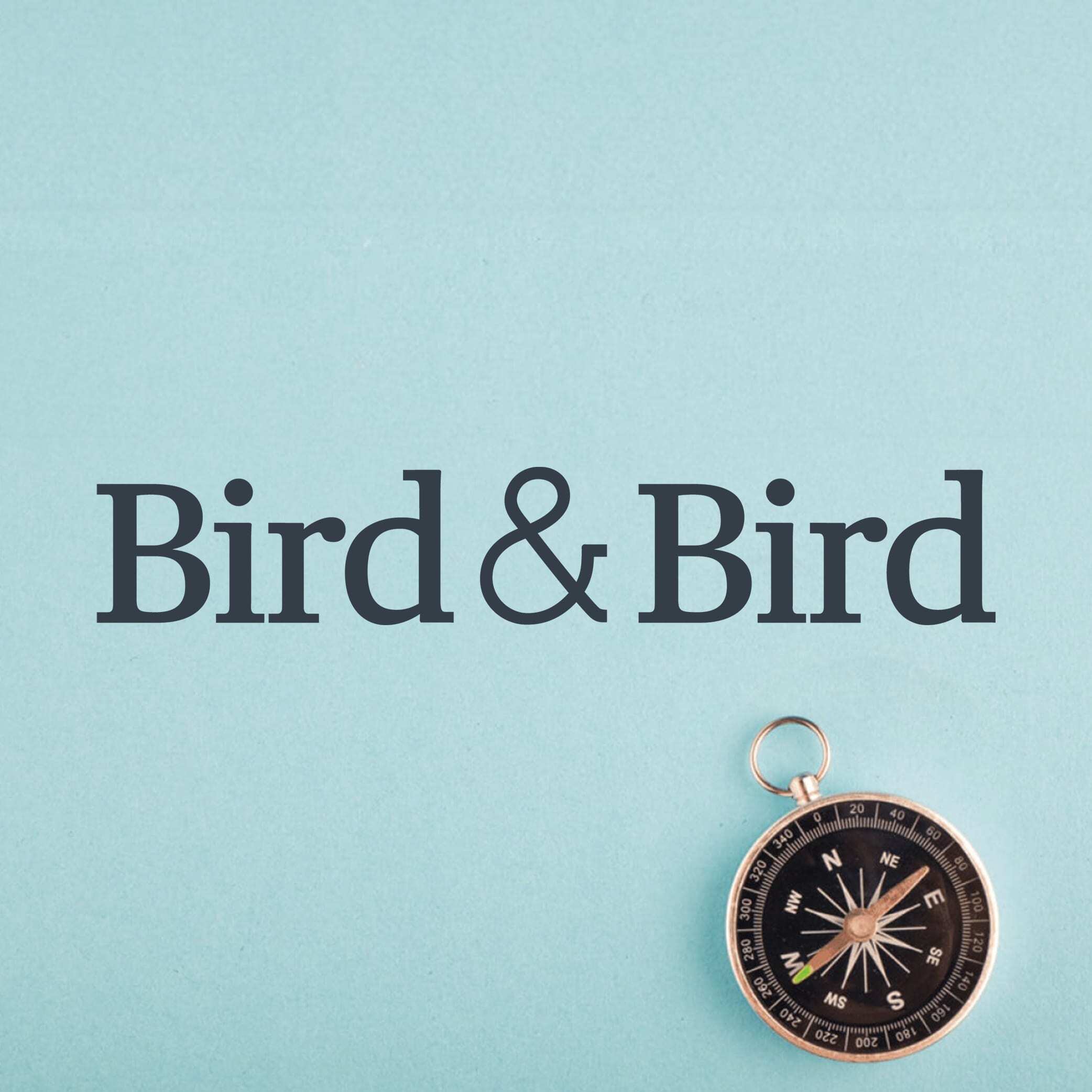 Quiz: Getting into Law | Bird & Bird